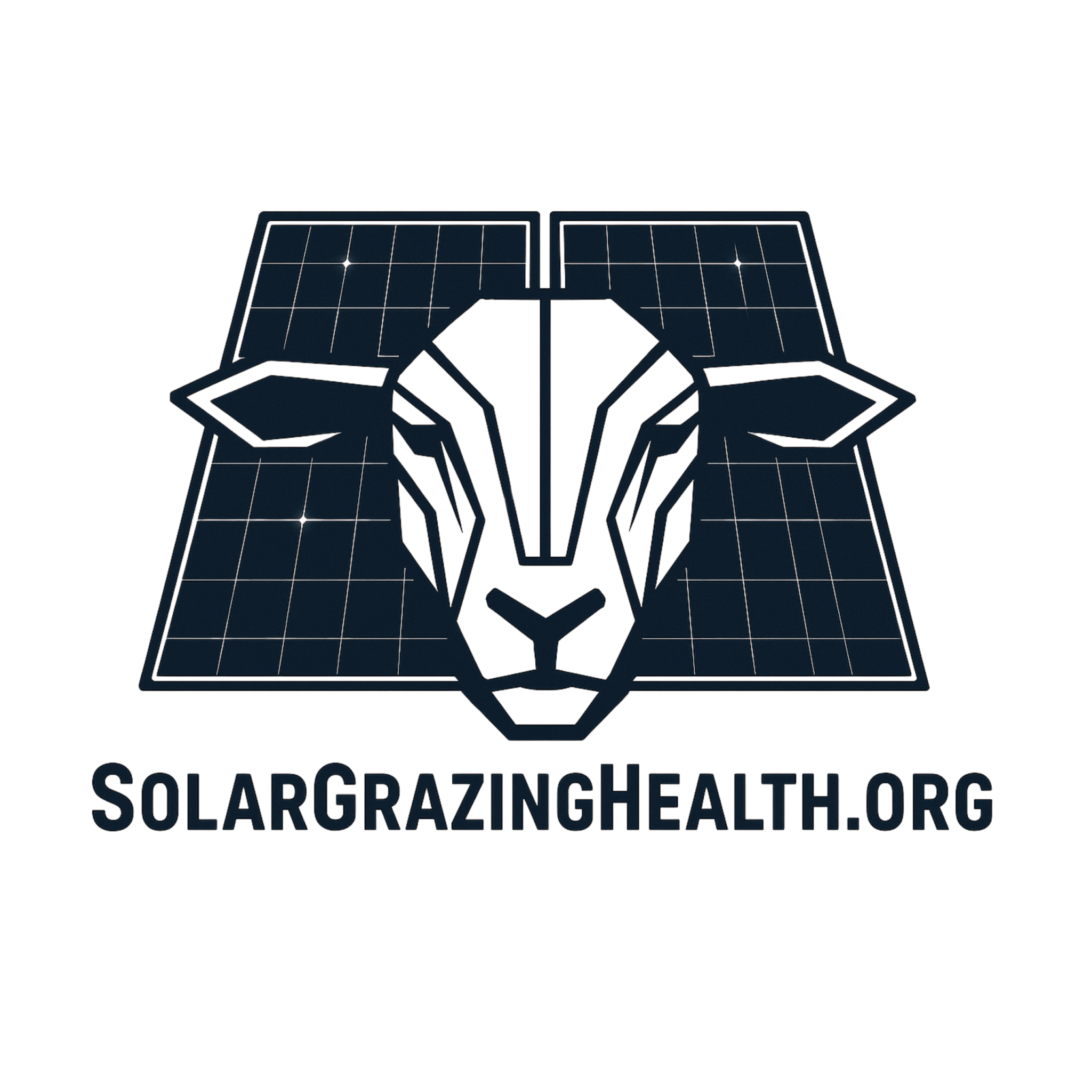 RSG Foundation | RSG Foundation